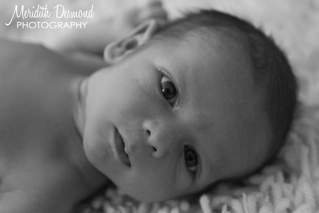 Meet Leo Austin – MERIDITH DESMOND PHOTOGRAPHY