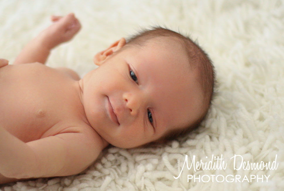 Meet Leo Austin – MERIDITH DESMOND PHOTOGRAPHY