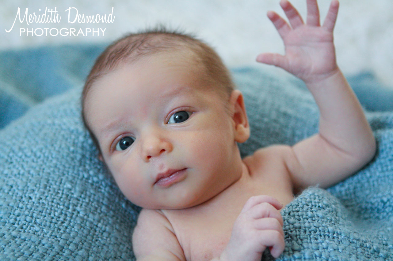 Meet Leo Austin – MERIDITH DESMOND PHOTOGRAPHY